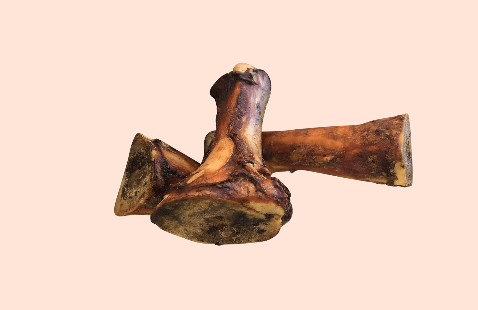 Dog Bones for Large Dogs: Here's What I Choose for My Pack – K9 Connoisseur