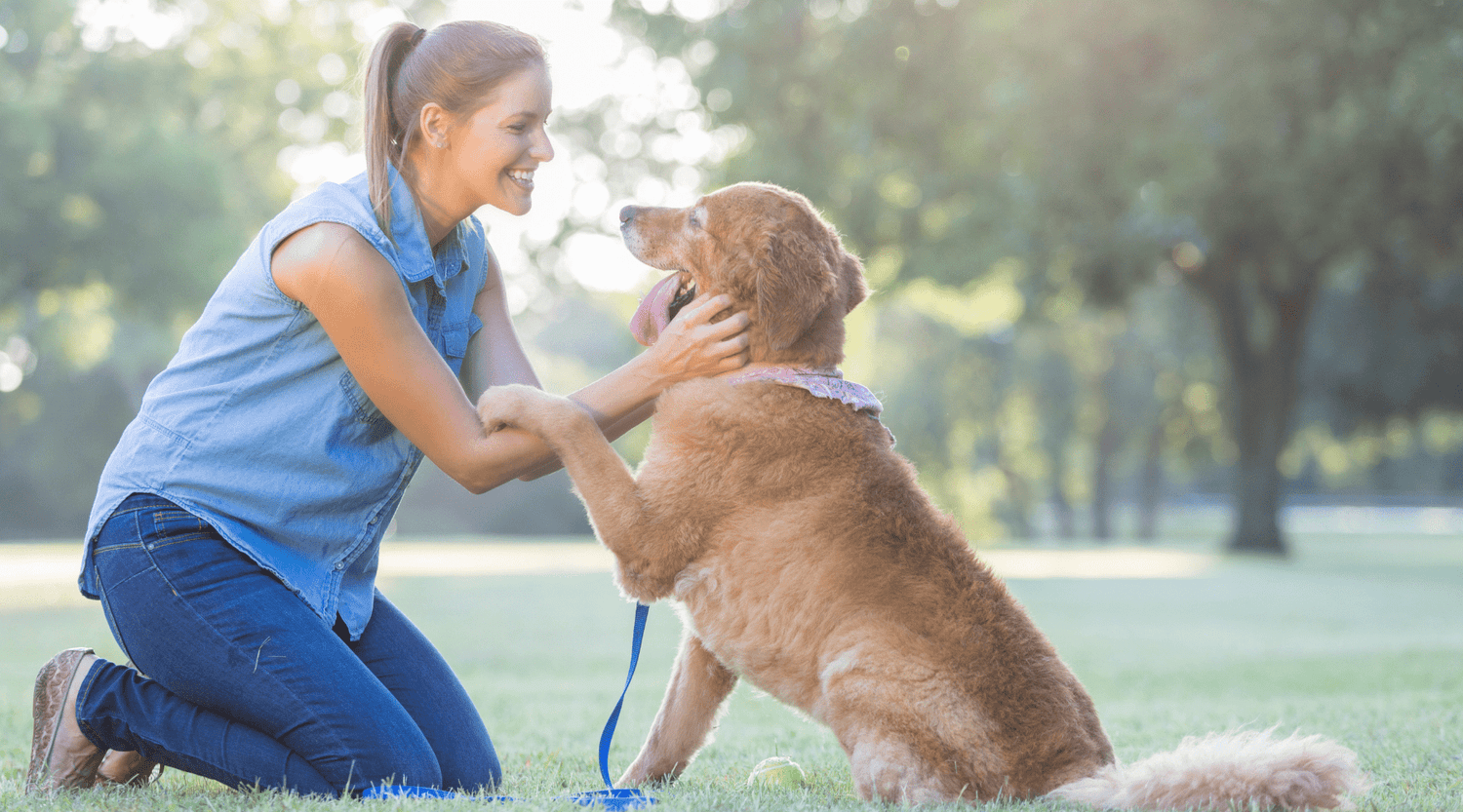 Dog Training Rewards: What Works Best (and What to Throw Away) – K9 ...